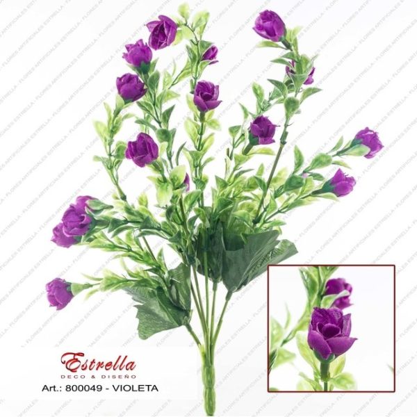 Rosas mini – Estrella