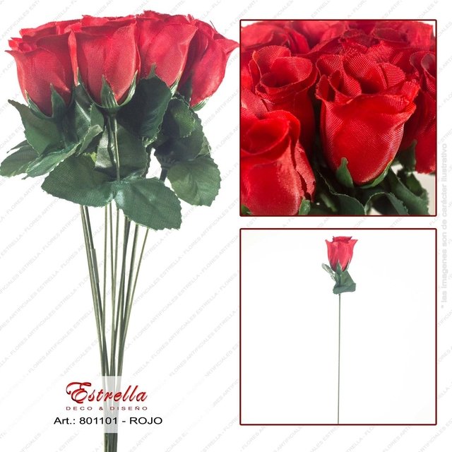 Pimpollo de rosa – Estrella