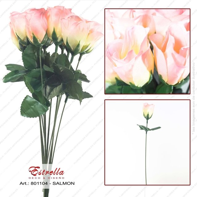 Pimpollo de rosa – Estrella